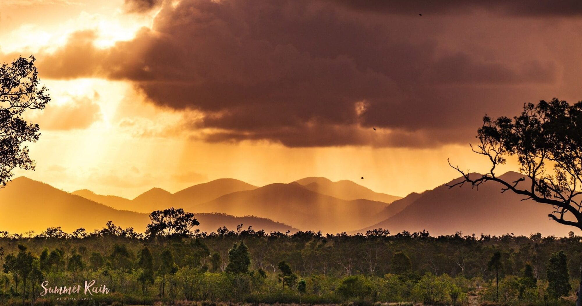 Whitsunday Photographer's Tour | With ABES & Summer Rain